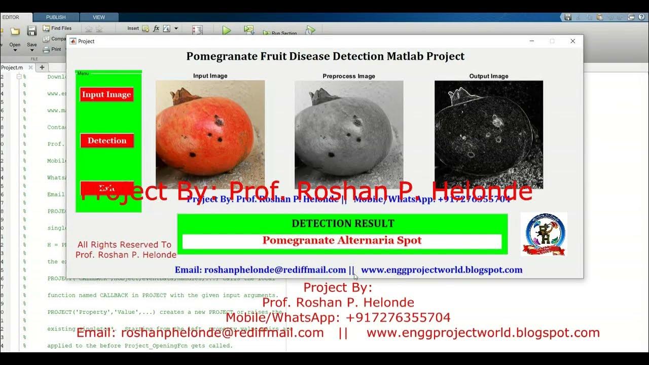 Pomegranate Fruit Disease Detection With Source Code Fruit Disease Detection Using Image ...