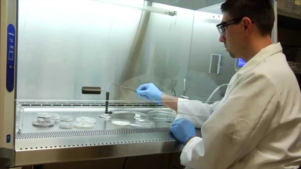 Chemistry and Biochemistry Graduate Program Overview - YouTube