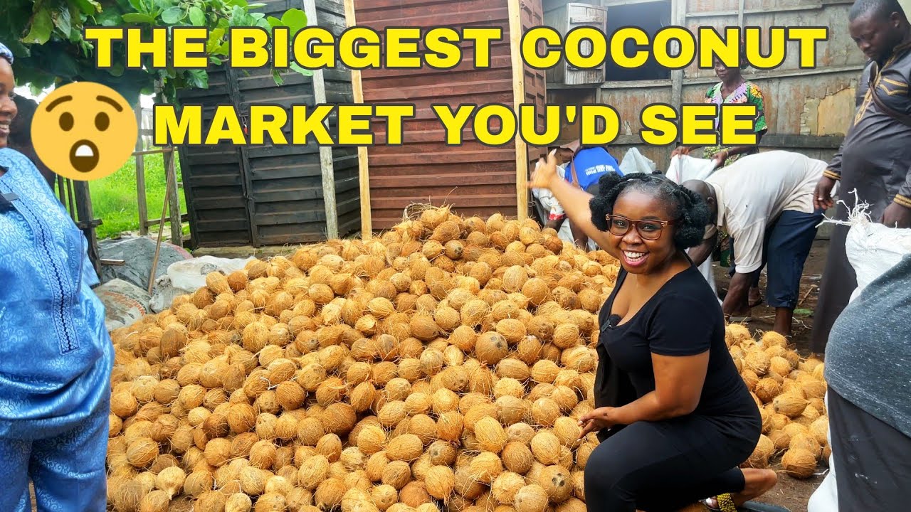 The Biggest Coconut Market You Will See Agbalata Market Badagry - YouTube