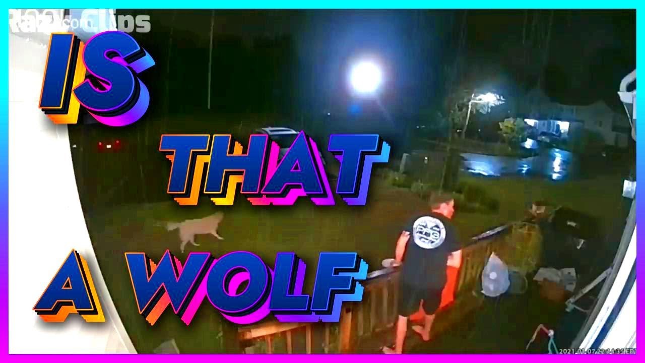 Random Funny Clips #2 - YouTube