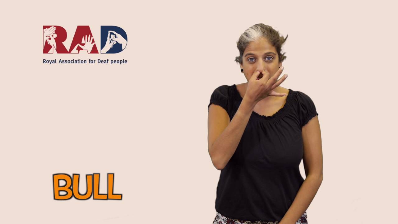 How to sign 'Bull' in British Sign Language (BSL) - YouTube