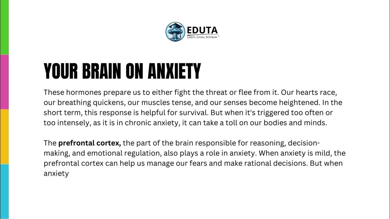 The Science of Anxiety: How it Affects Your Brain and Body - YouTube