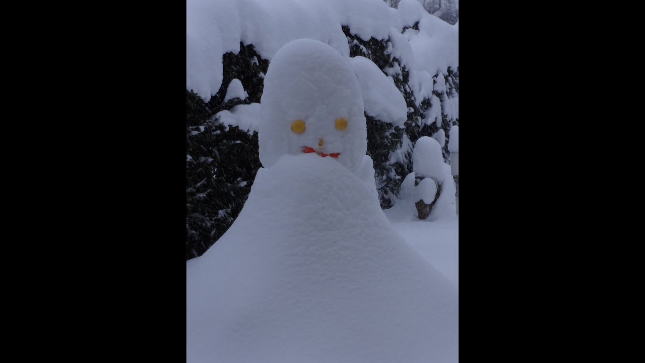 The History of a Snowman - YouTube