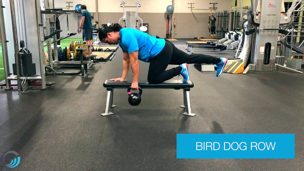 Bird Dog Row - YouTube