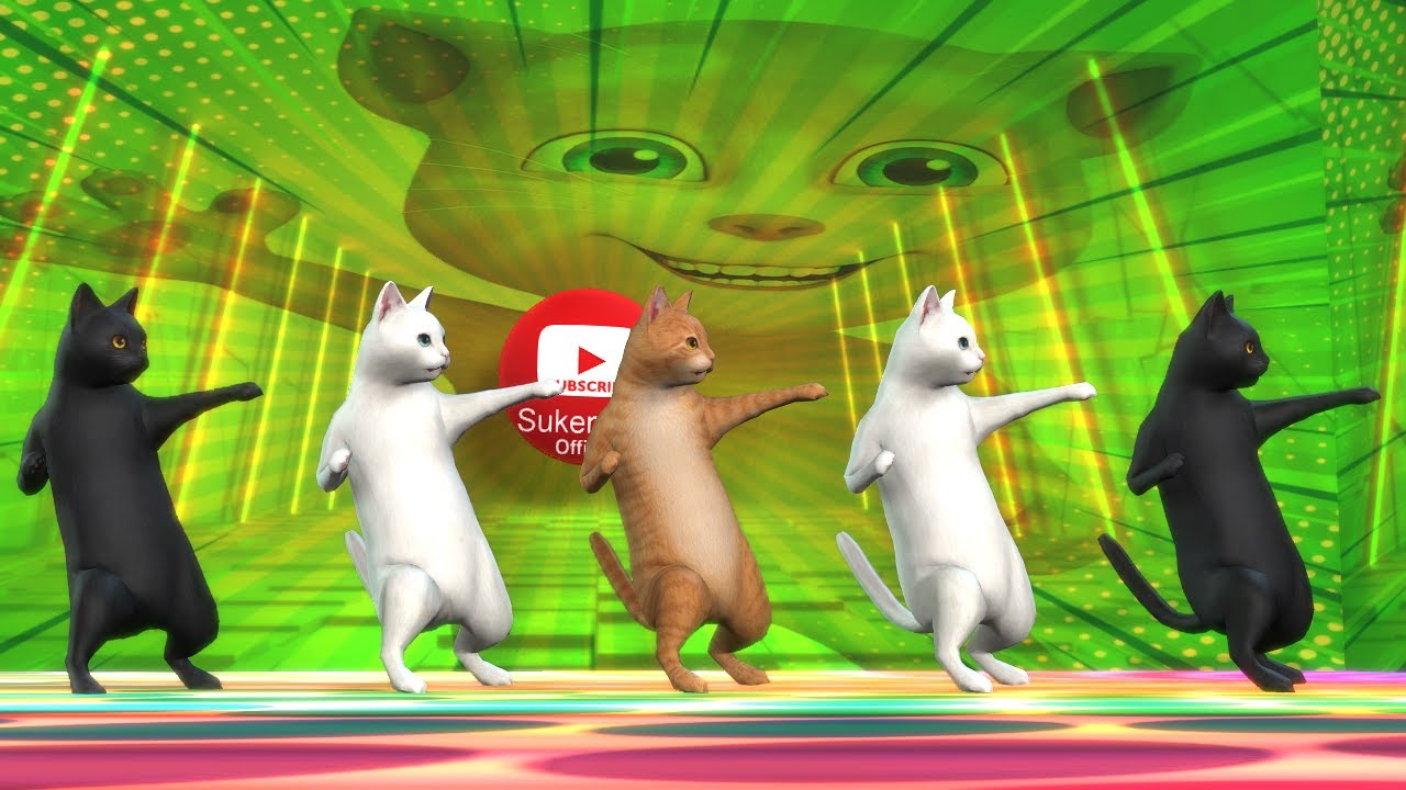 Cat dance 💃 Macarena 💃 SukemTV Official - YouTube