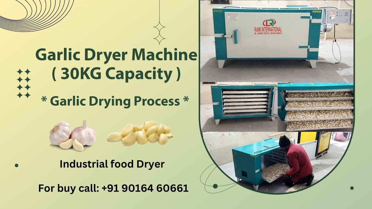 Garlic Dryer Machine ( 30KG Capacity ) 🥰| 6 Tray Dryer Machine Food Iteams💥| Garlic Drying ...