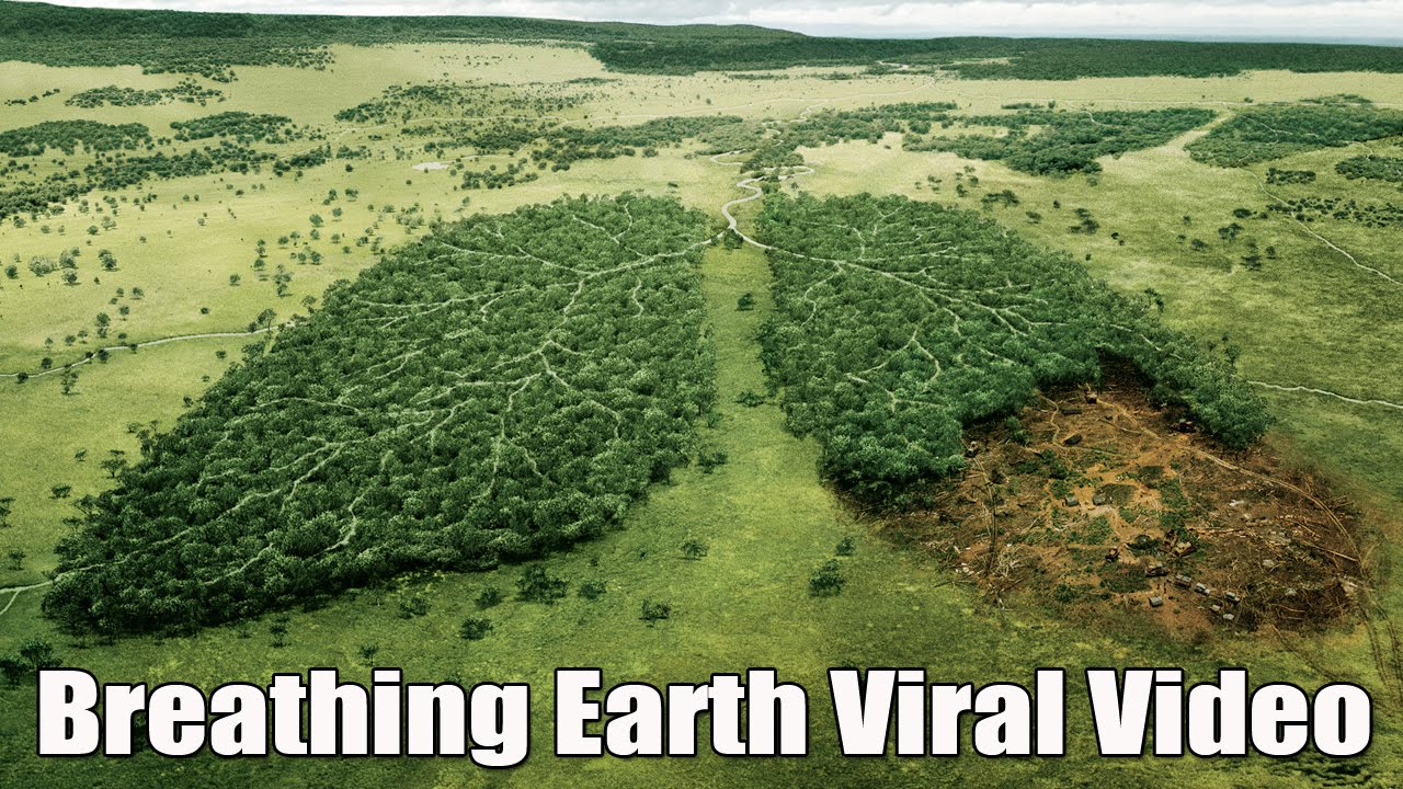 Watch Real Breathing Earth Viral Video - YouTube