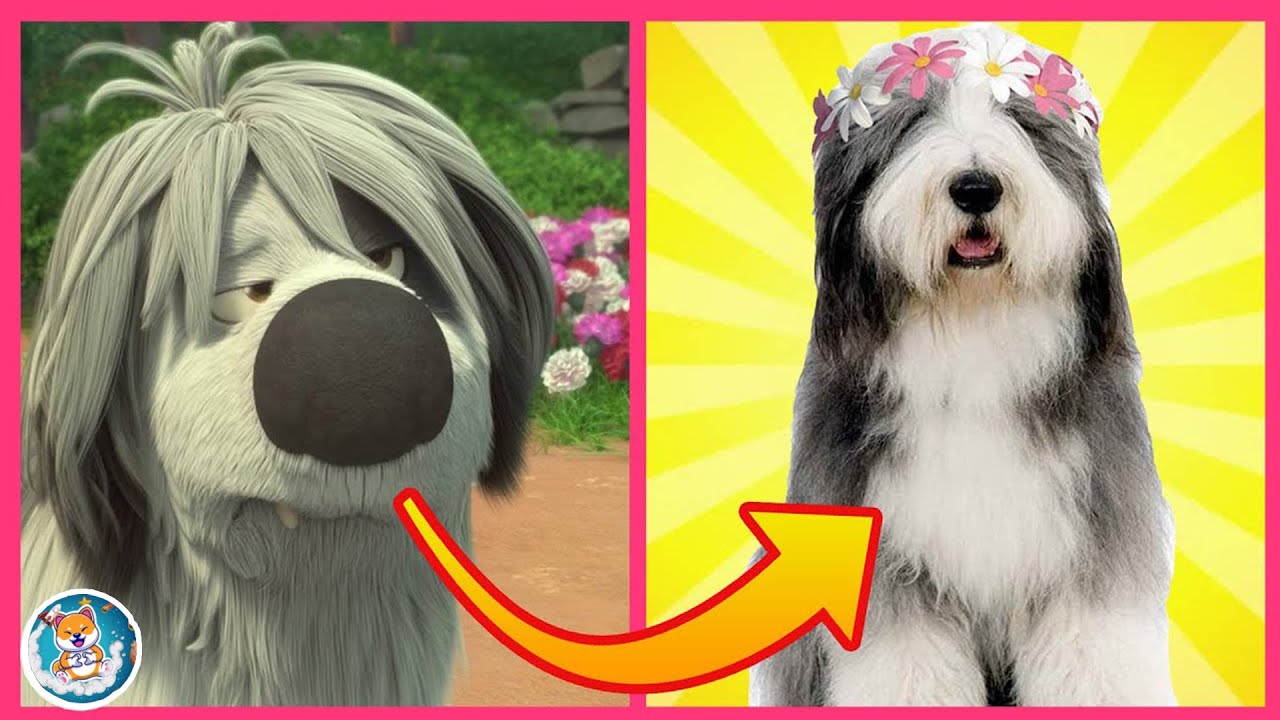 Ferdinand All Characters IN REAL LIFE- LEYA PRO- 2022 - YouTube