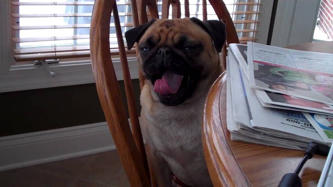 Sleepy Loca - YouTube