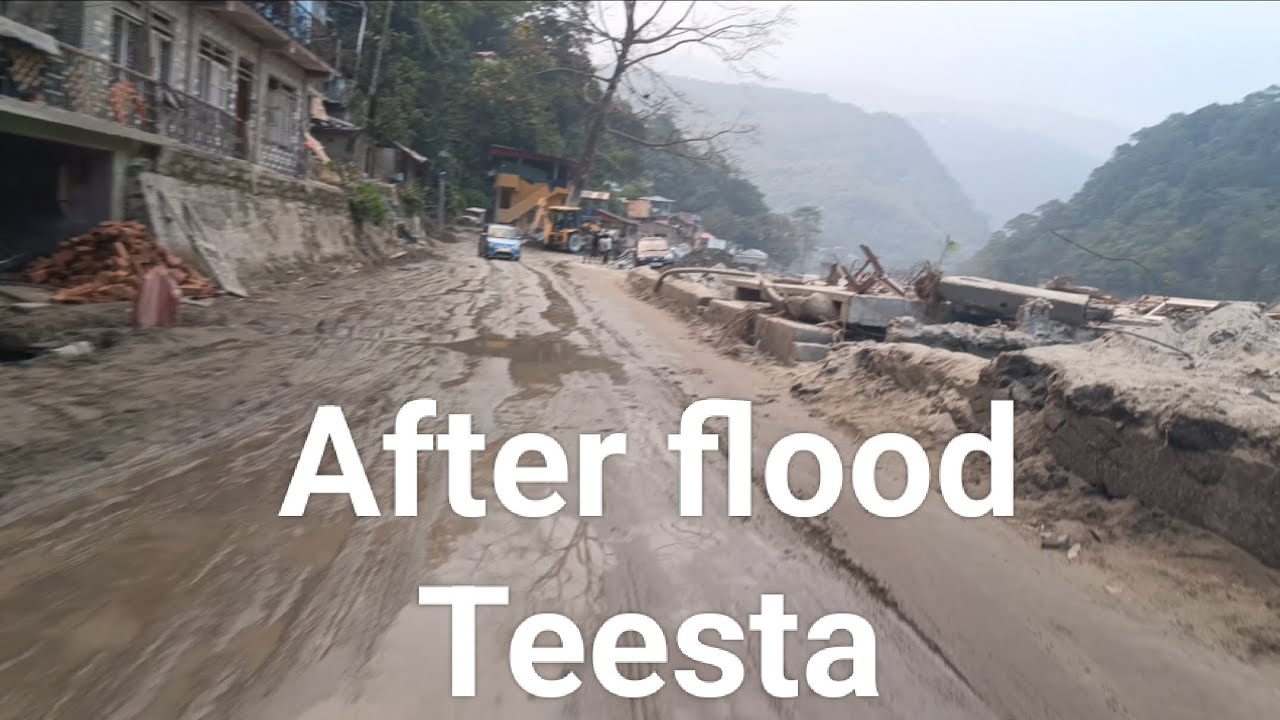 Tessta's Journey After Devastating Floods & Pandemic - YouTube