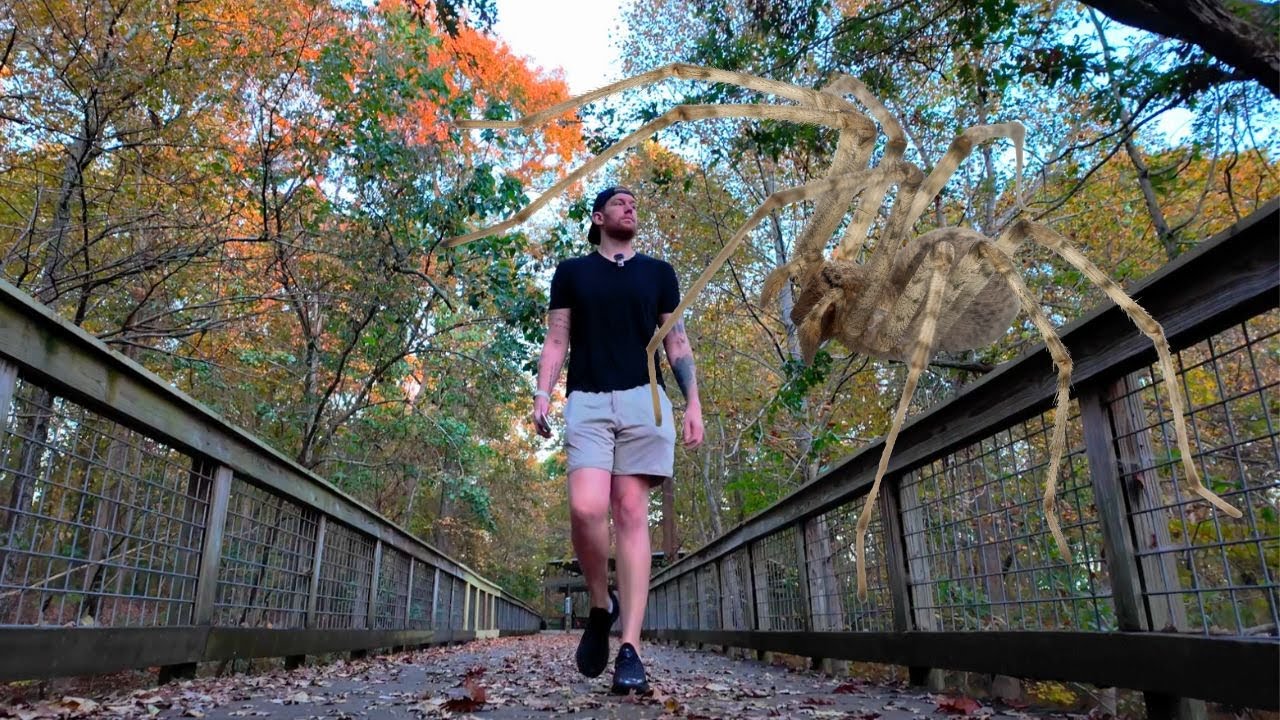 Giant Man Vs Giant Spiders - YouTube