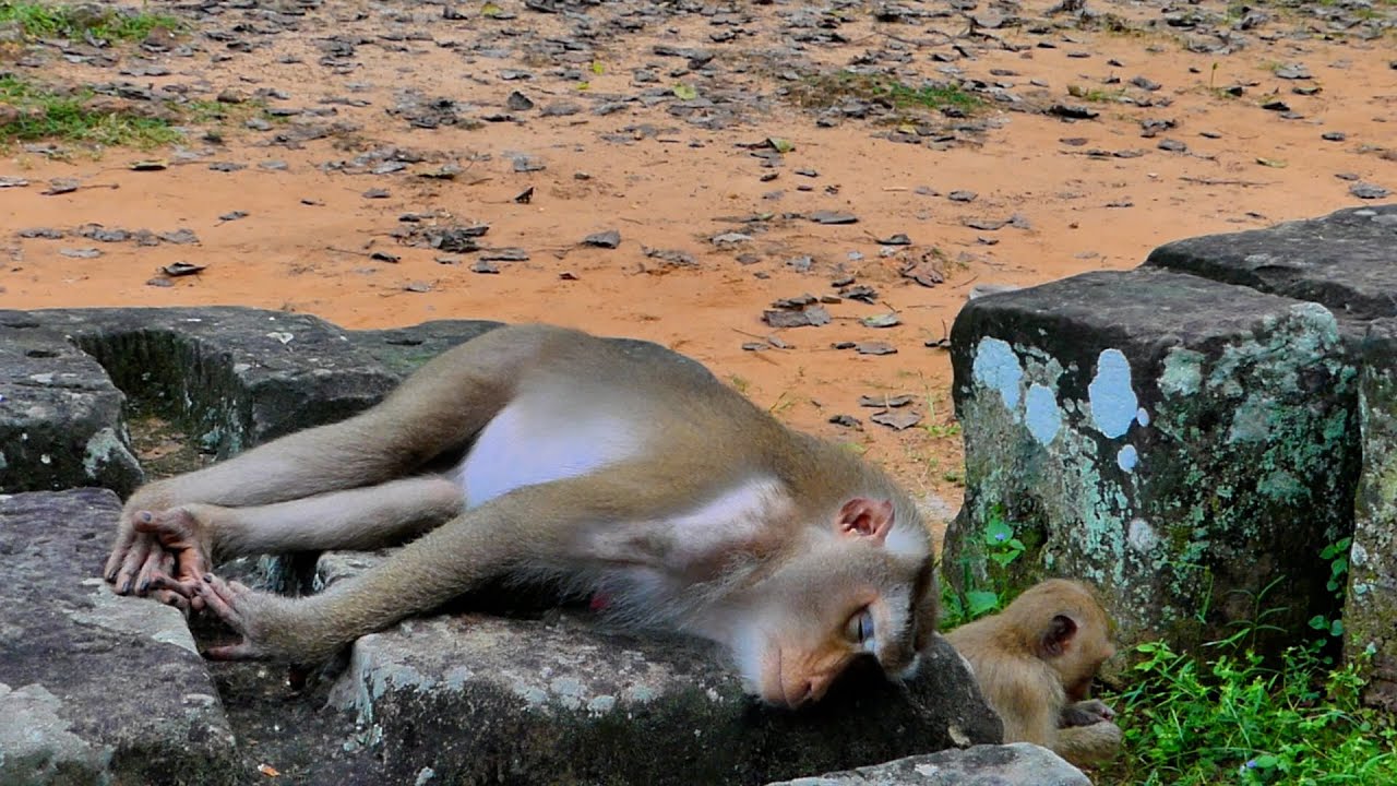 Libby need to stay alone care her third baby - YouTube