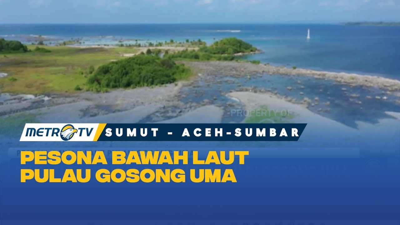 Keindahan Bawah Laut Pulau Gosong Uma di Nias - YouTube