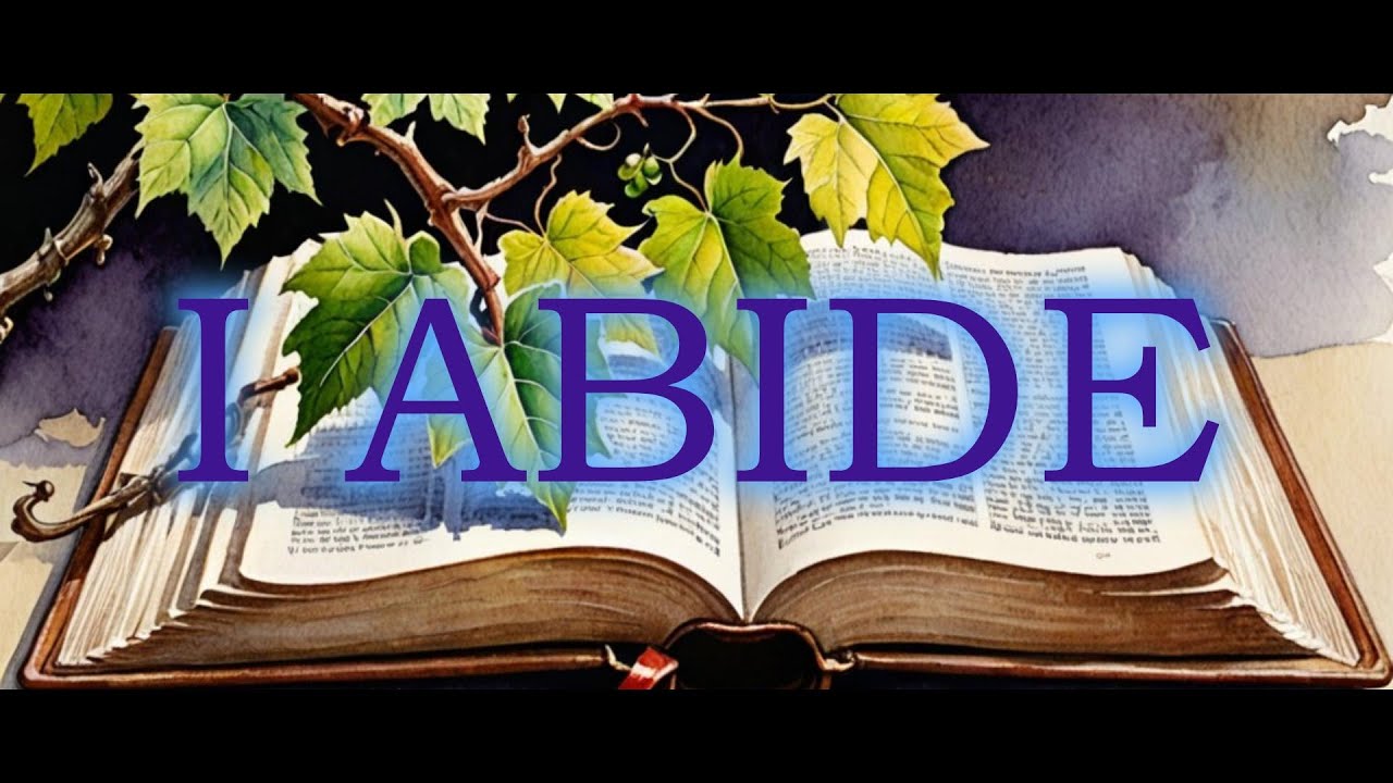 I ABIDE (Official Lyric Video) - YouTube