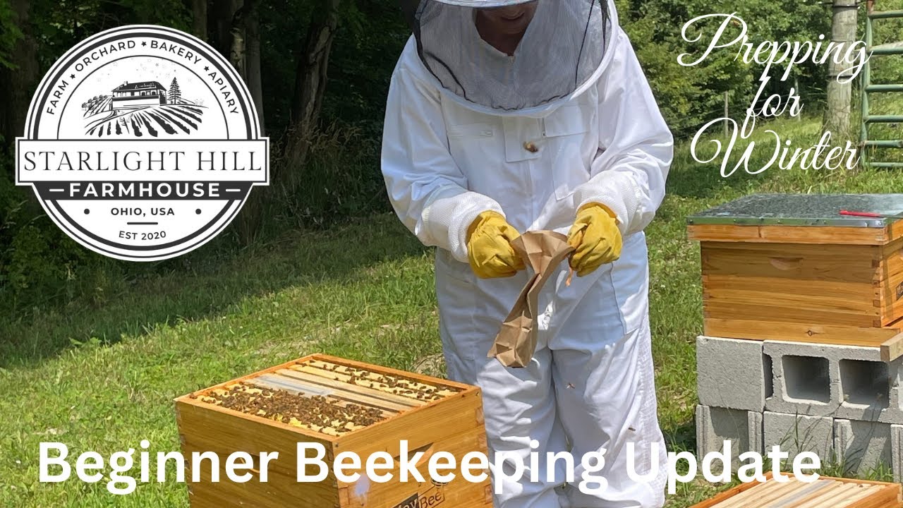 Beginner Beekeeping Update...Prepping for Winter - YouTube