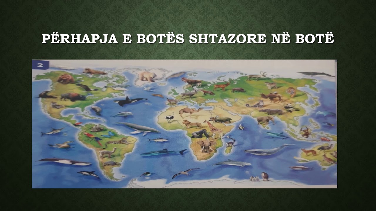 Perhapja e gjallesave ne Toke - YouTube