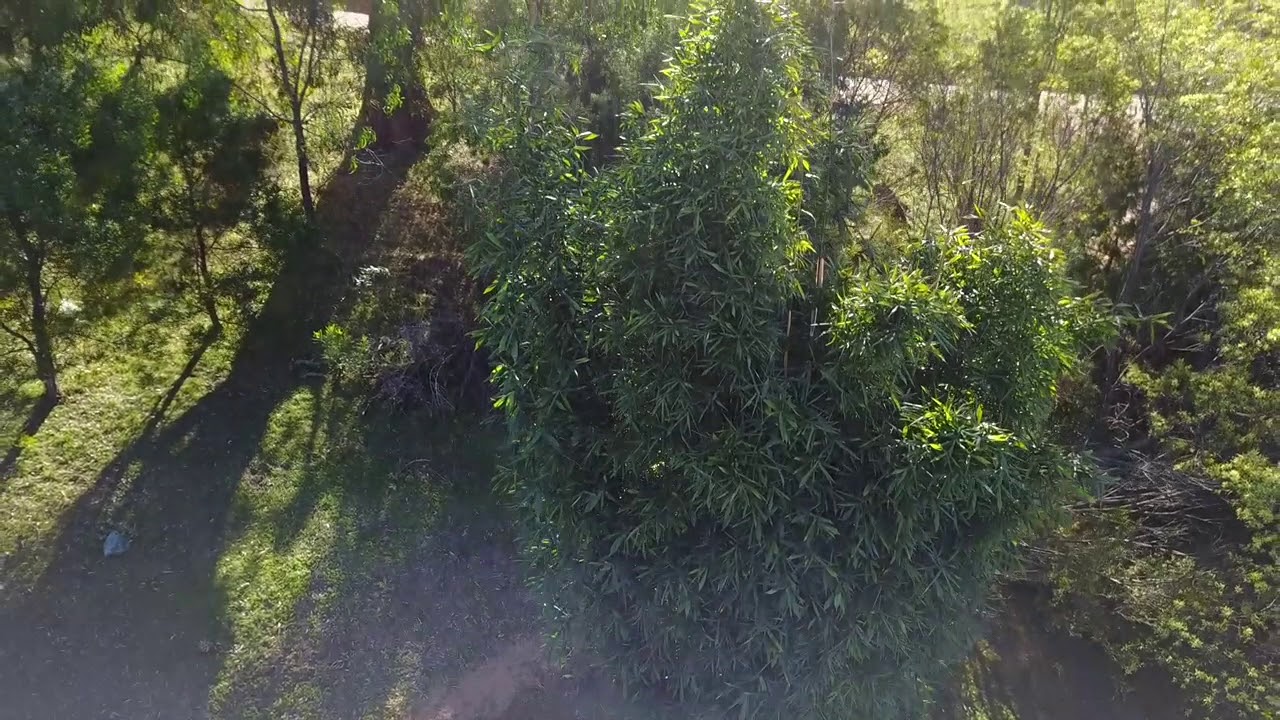 Brogo Permaculture Gardens - YouTube