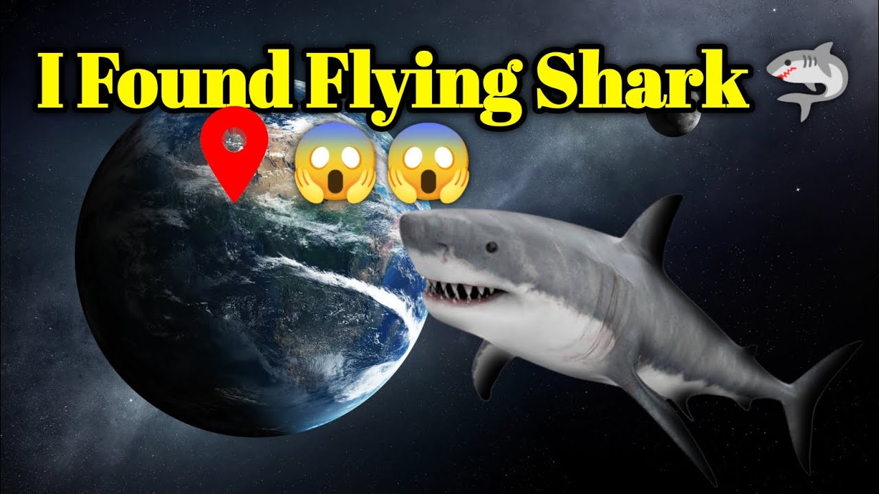 OMG 😱😱 !!! I Found Real Giant Flying Shark 🦈 On Google Earth🌍!! # ...