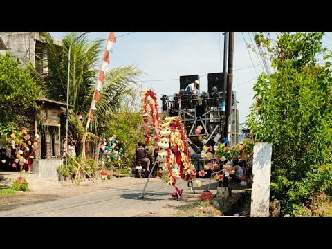 Live 🔴 karnaval budaya sebani, Sumobito, Jombang