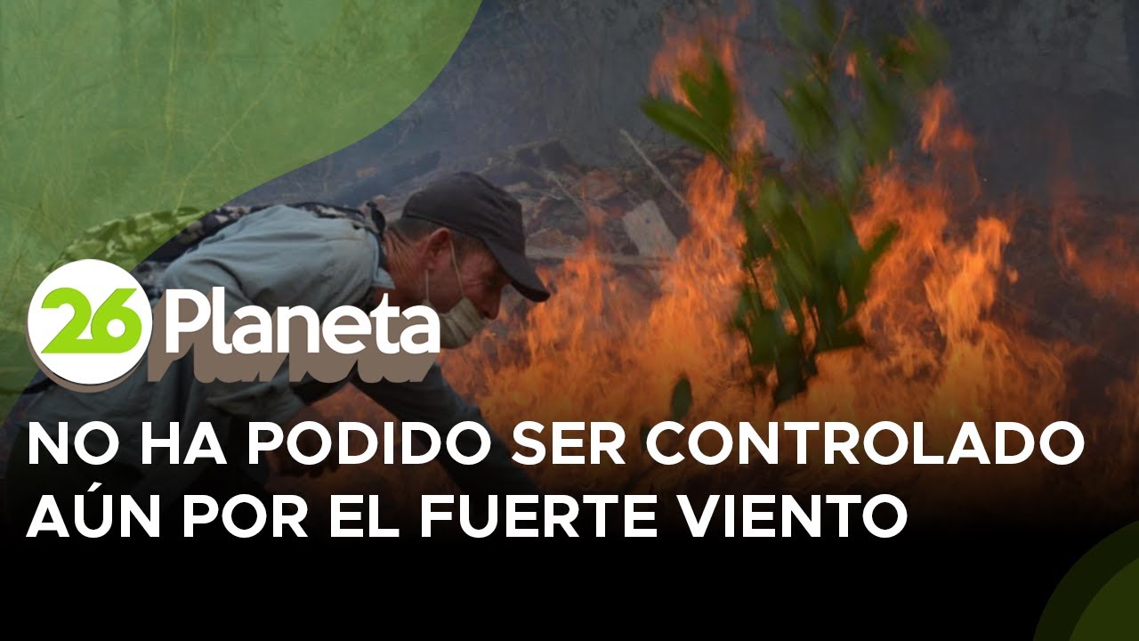 Sequía Y Viento Dificultan La Extinción De Gran Incendio En Cuba Videos