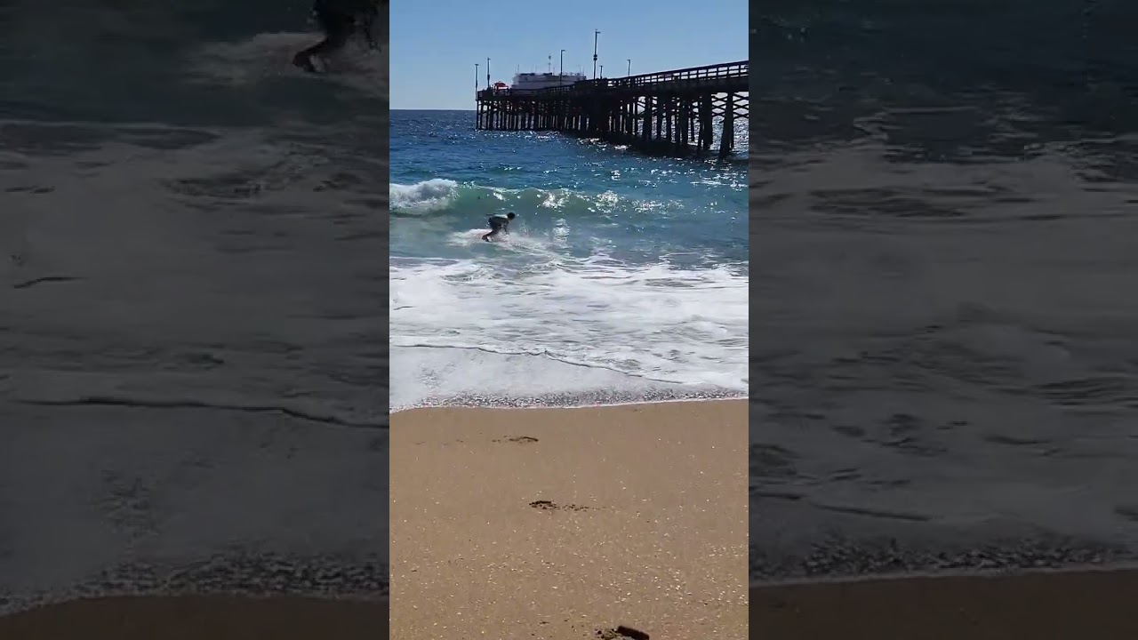 【skimboarding🇺🇸】Newport Beach. California.at Balaoa Pier.ニューポートビーチのスキム大会会場 - YouTube