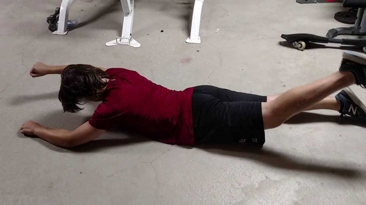 AQUAMAN ( PRONE BIRDOG) - YouTube