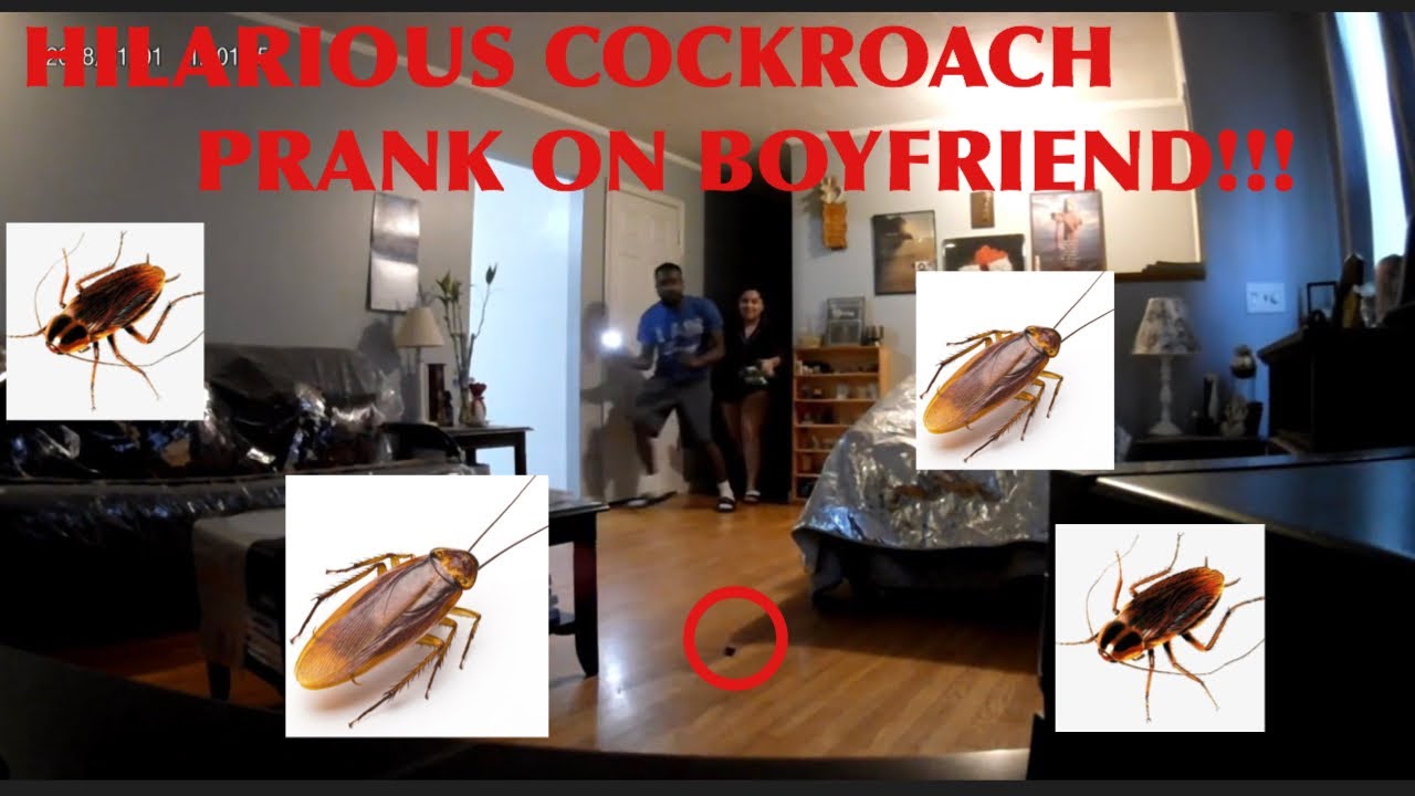 HILARIOUS COCKROACH PRANK ON BOYFRIEND!!!! - YouTube