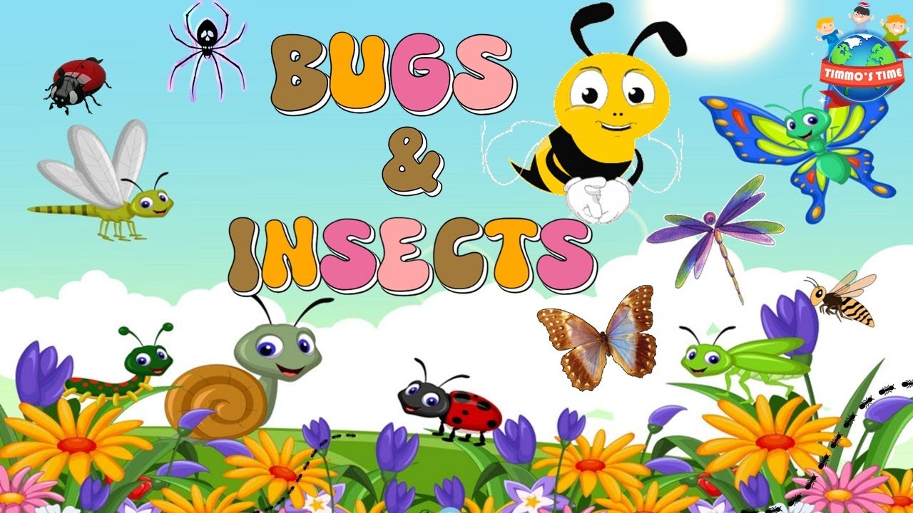 Insects For Kids