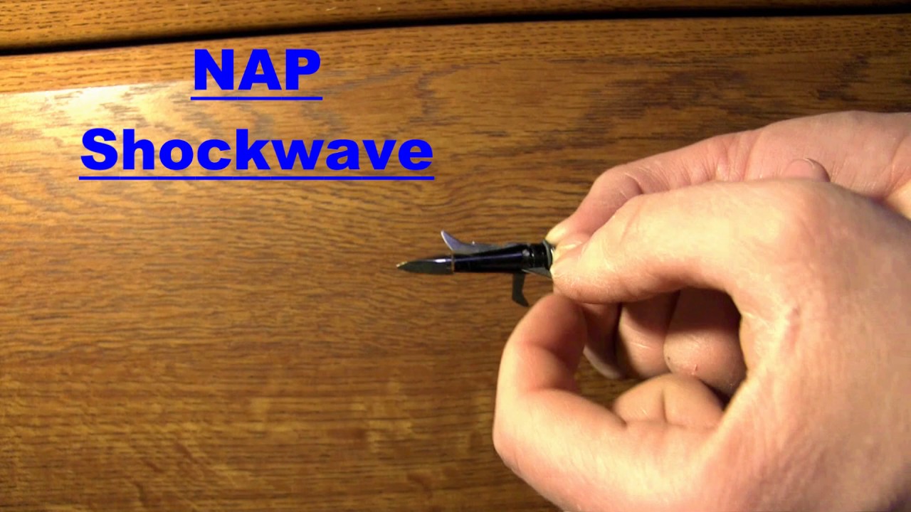 NAP Shockwave - YouTube