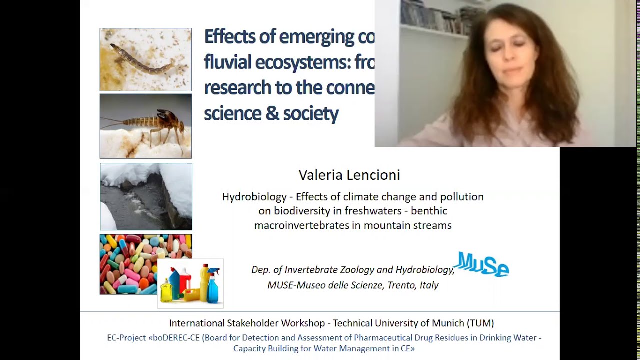 Effects of emerging contaminants on fluvial ecosystem. - YouTube