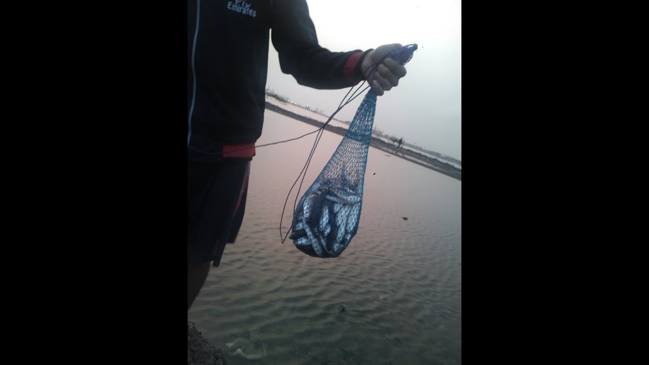 cara membuat jebakan ikan belanak dengan botol - YouTube