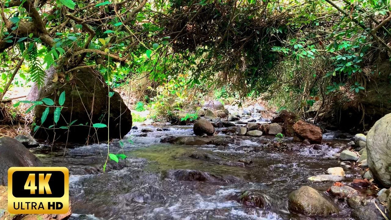 Relaxing Nature Sounds For Stress relief, Mountain Sleep Sounds ...