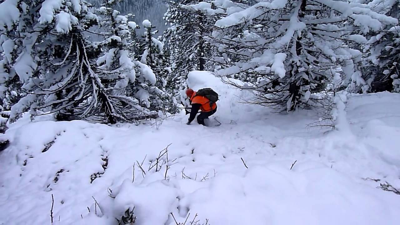 Sliding down mountain on snow - YouTube