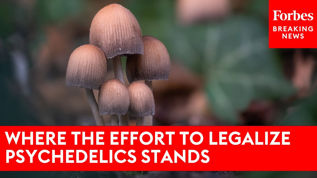 Where the Effort To Legalize Psychedelics Stands - YouTube