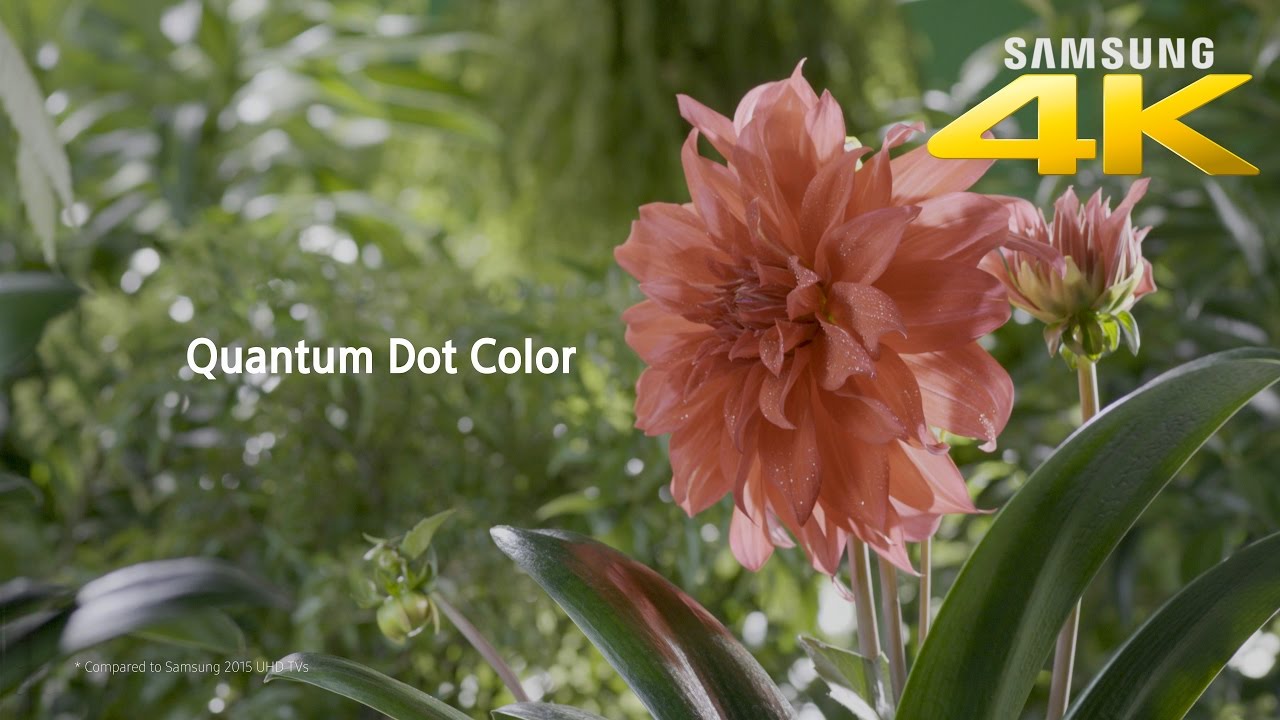 Samsung 4K HDR: Quantum Dot Display - YouTube