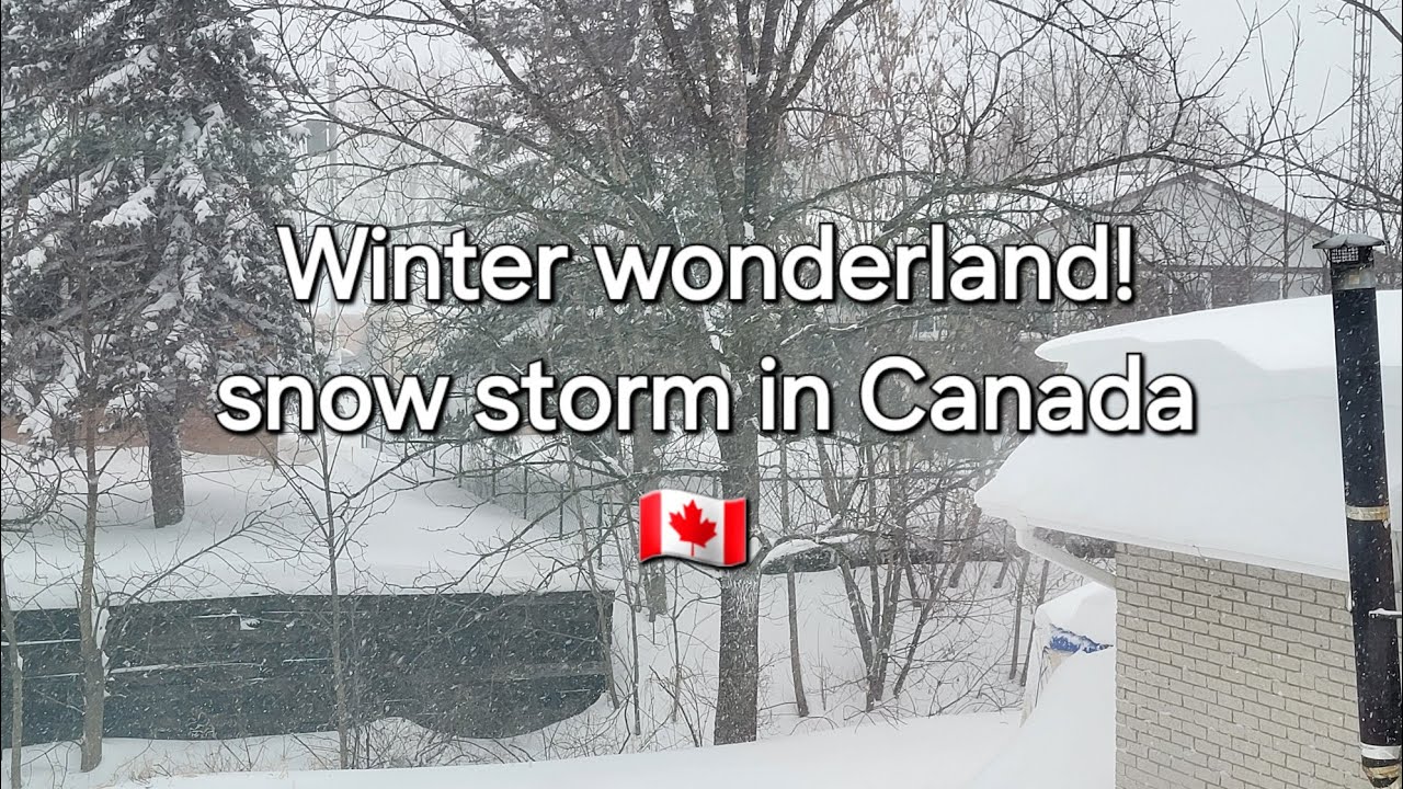 Good morning, 2nd day of snow storm 🇨🇦 - YouTube