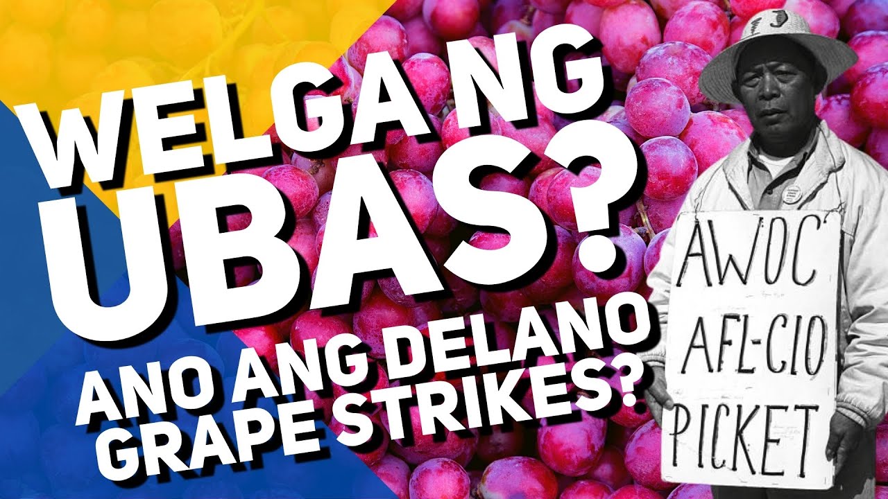 Welga ng Pinoy Dahil sa Ubas? Ano Ang Delano Grape Strikes? 🍇 🏽🍇 - YouTube