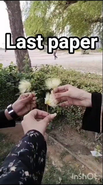 Finally Last paper yahoo🤧🥳Part 1 #youtubeshorts #eviltwin #memorable # ...