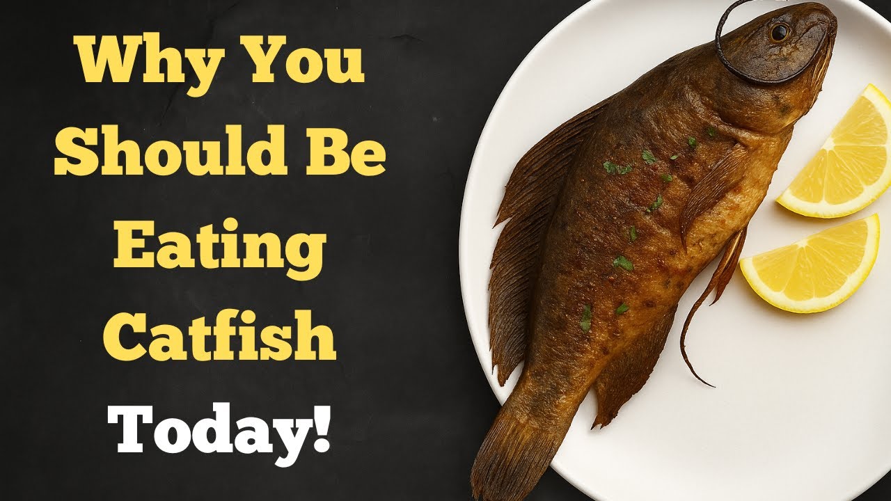 🐟 Discover the Delicious World of Catfish – From Benefits to the ...