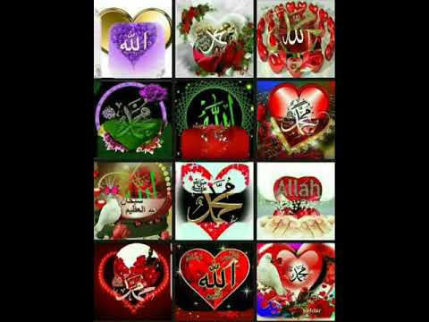 Whatsapp ucun dini videolar