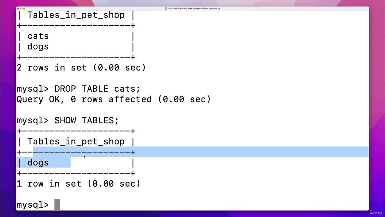 21 - Dropping Tables - YouTube