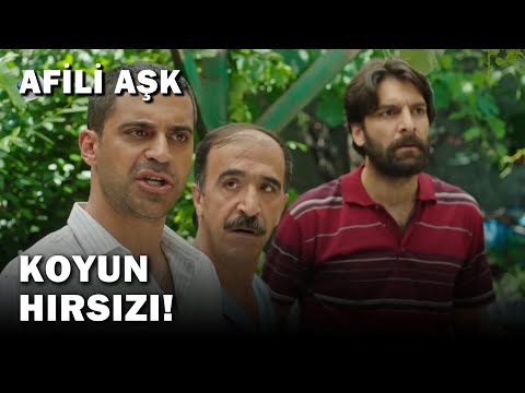 Sabri'nin Koyununu Erkut Mu Çaldı? - Afili Aşk 9. Bölüm