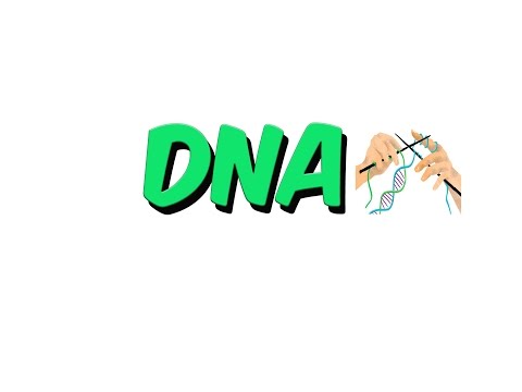 12dk'da DNA
