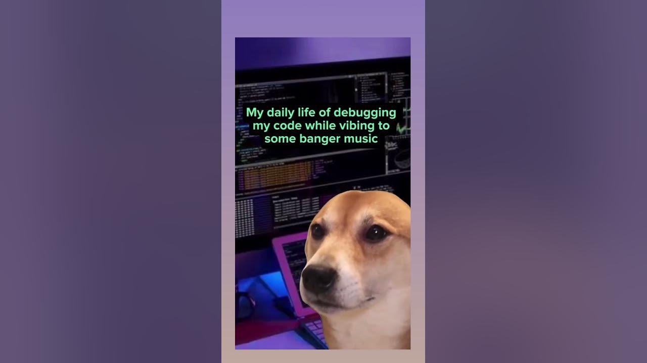My Daily Life While Debugging My Code Programming Python 100daysofcoding Coding Youtube 