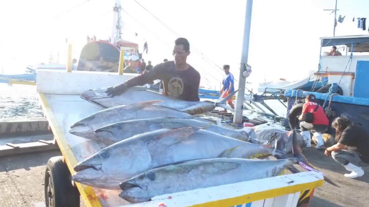 Gensan, Tuna Capital of the Philippines - YouTube