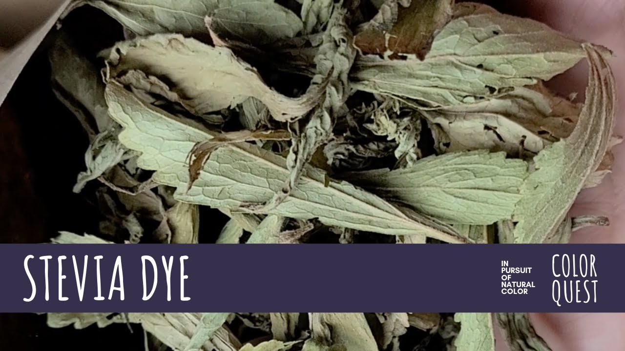 HOW TO MAKE NATURAL DYE WITH STEVIA | ORGANIC COLOR | GREEN BEIGE BROWN ...