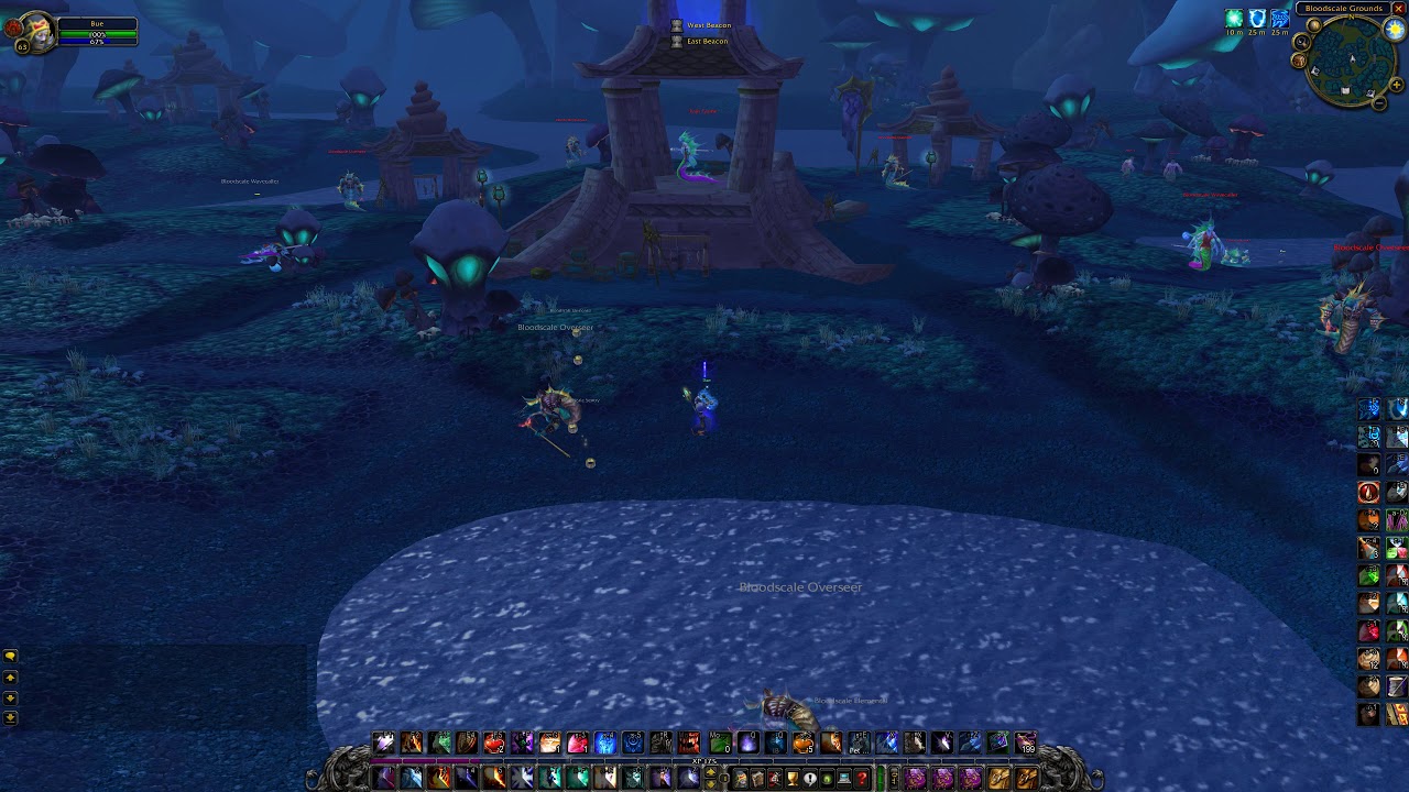 Leader of the Bloodscale, WoW TBC Quest - YouTube
