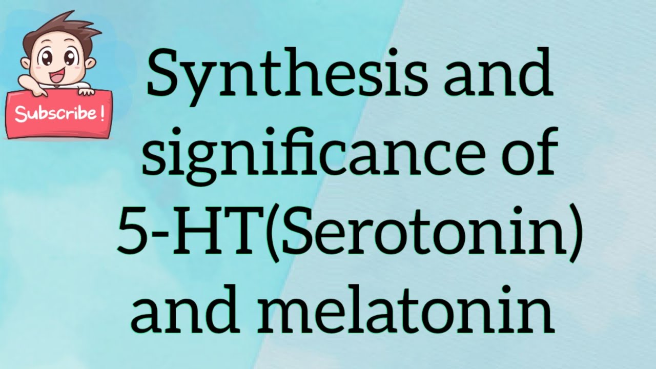 Synthesis and significance of 5-HT and melatonin - YouTube