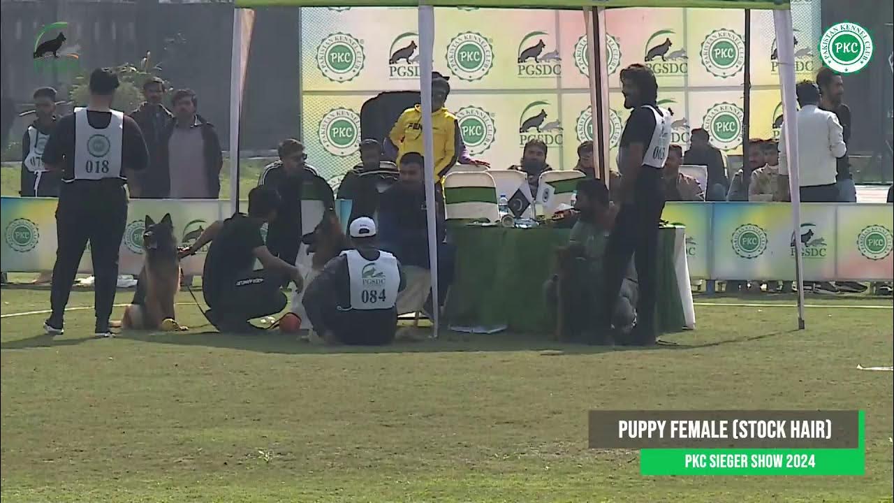 PKC 2024 SIEGER SHOW | LIVE - YouTube