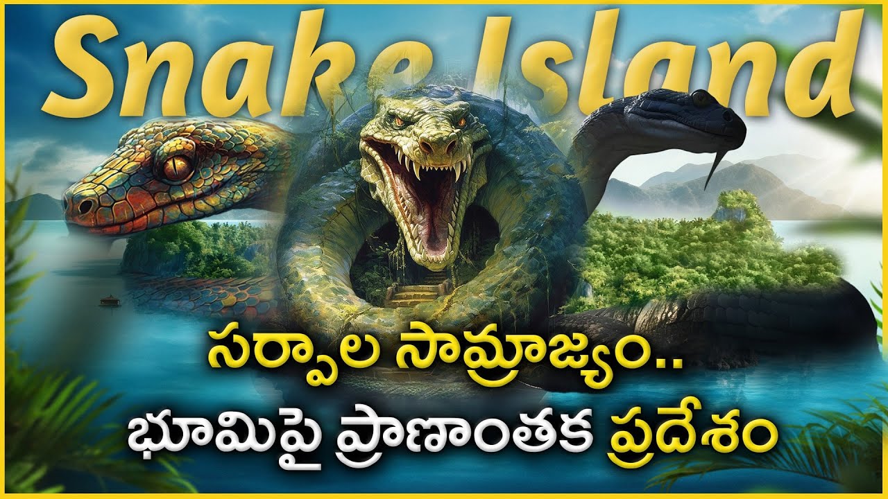 Why Snake Island Is The Scariest Place On Planet Earth | Snake Island ...